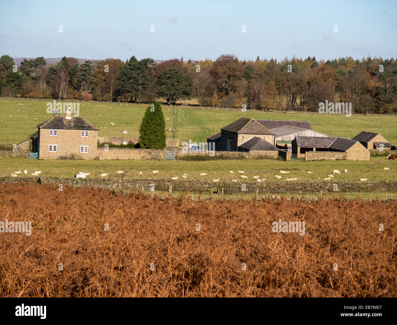 farm buildings in landscape near Matlock, Derbyshire, Britain Stock ...