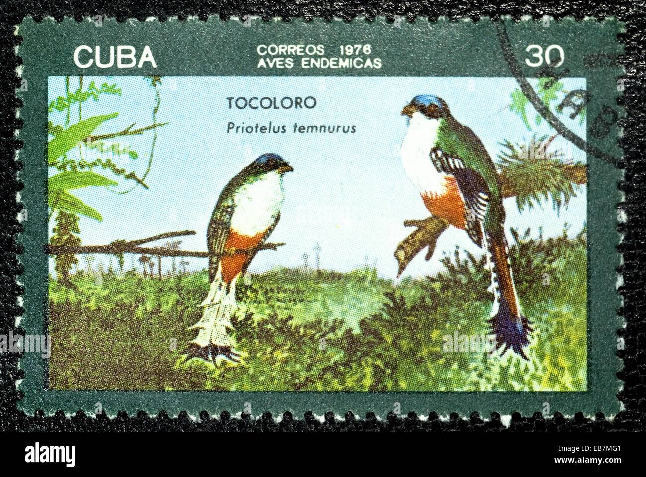 Stamp cuba tocororo hi-res stock photography and images - Alamy
