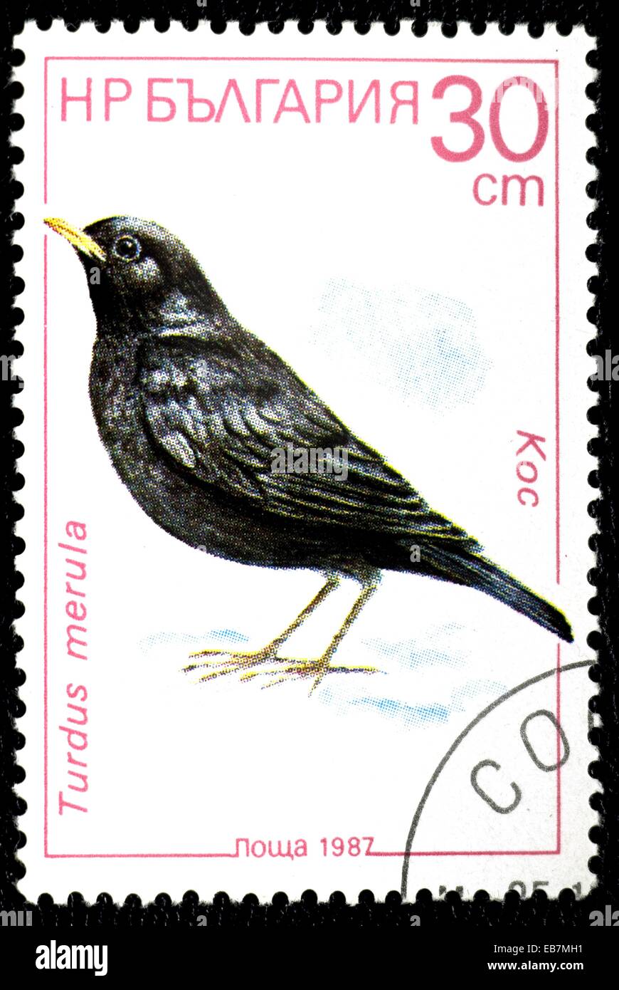 Bulgaria postage stamp hi-res stock photography and images - Alamy