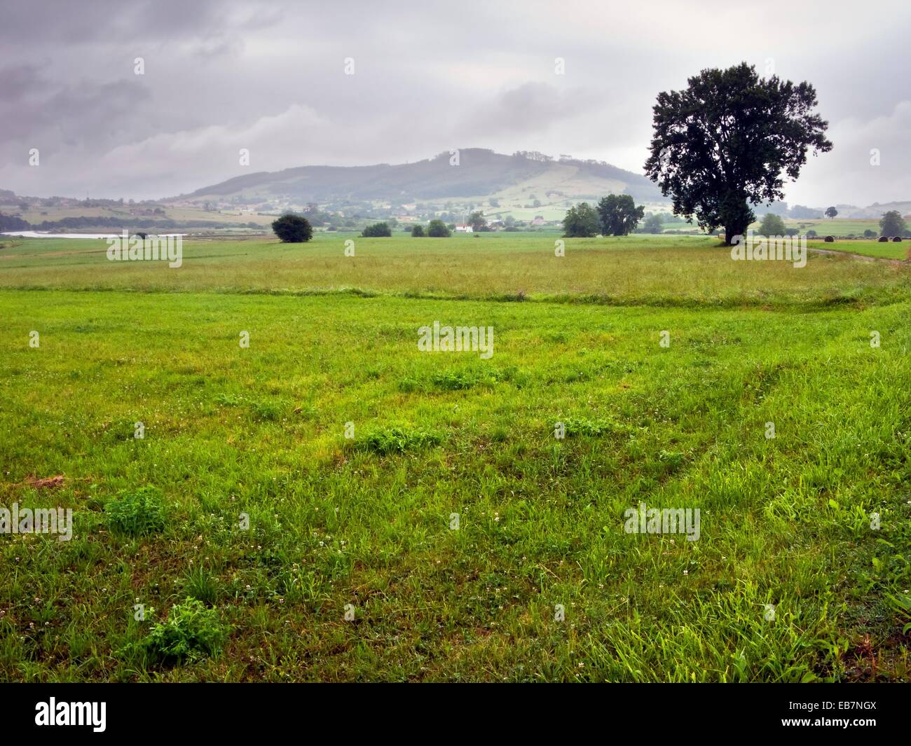 Ajo santander hi-res stock photography and images - Alamy