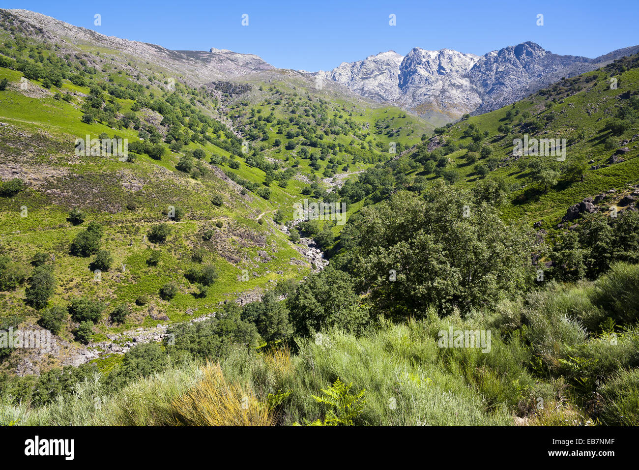 Candeleda hi-res stock photography and images - Alamy