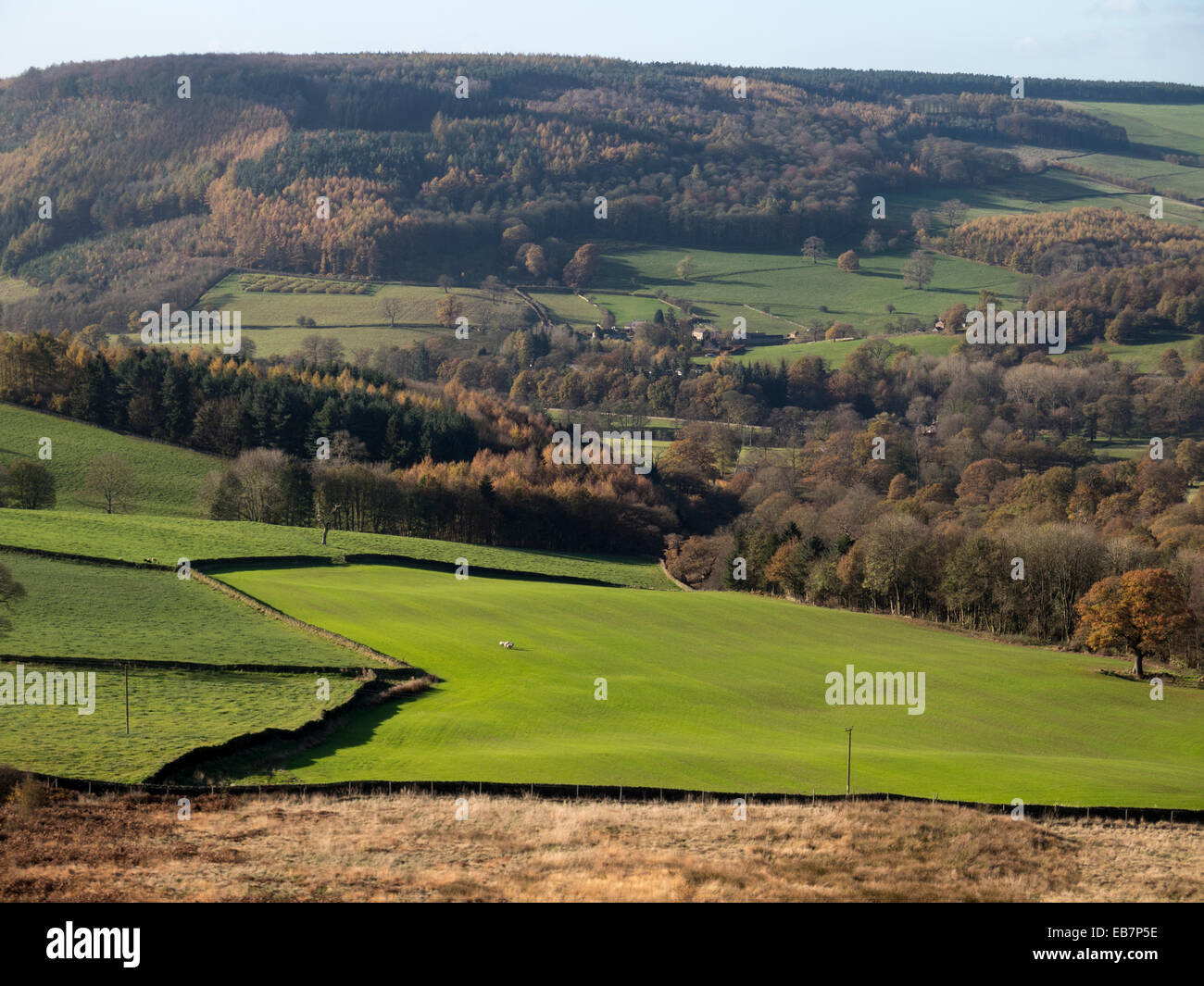 landscape near Matlock, Derbyshire, Britain Stock Photo - Alamy