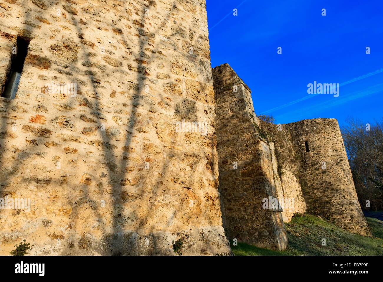 france,yvelines,Chevreuse valley,chevreuse : the Madeleine castle Stock ...