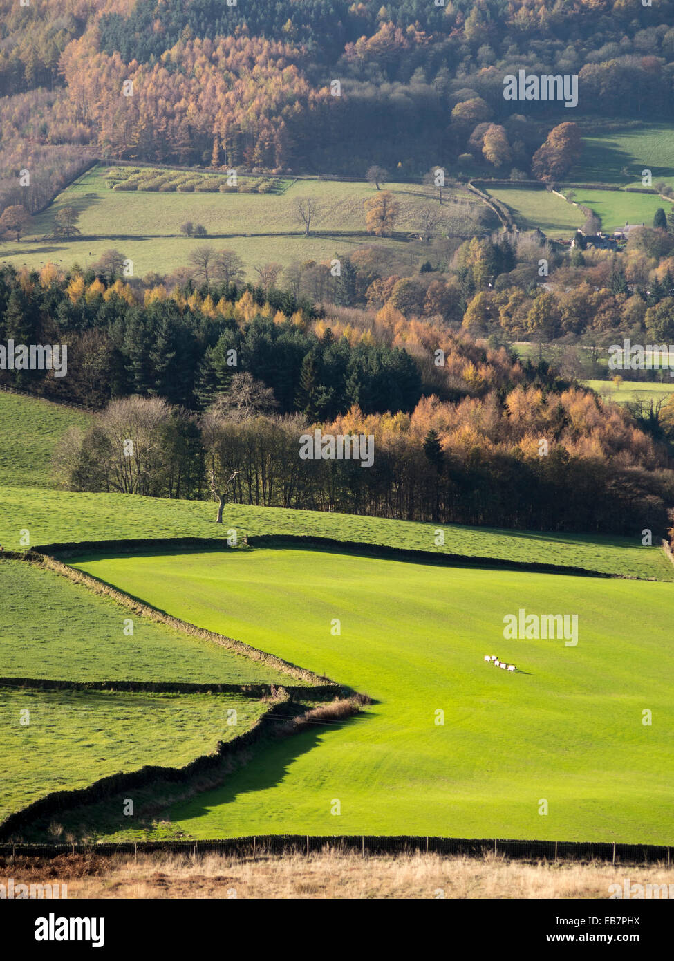 landscape near Matlock, Derbyshire, Britain Stock Photo - Alamy