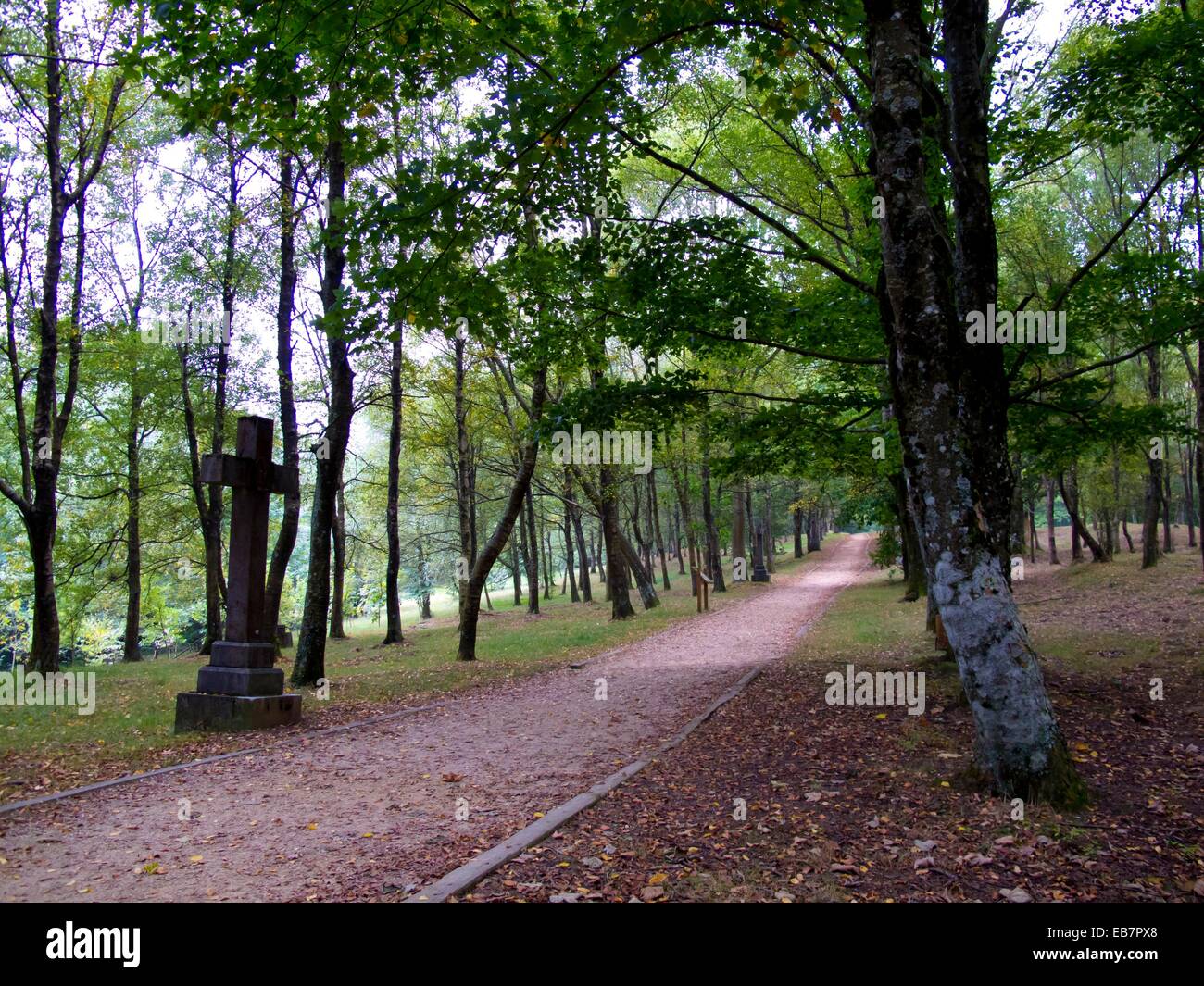 Ordeal High Resolution Stock Photography and Images - Alamy