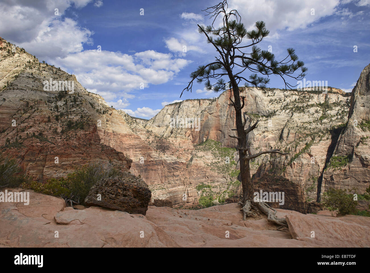 View from the Angels Landing Trail, Zion National Park, Utah Stock ...
