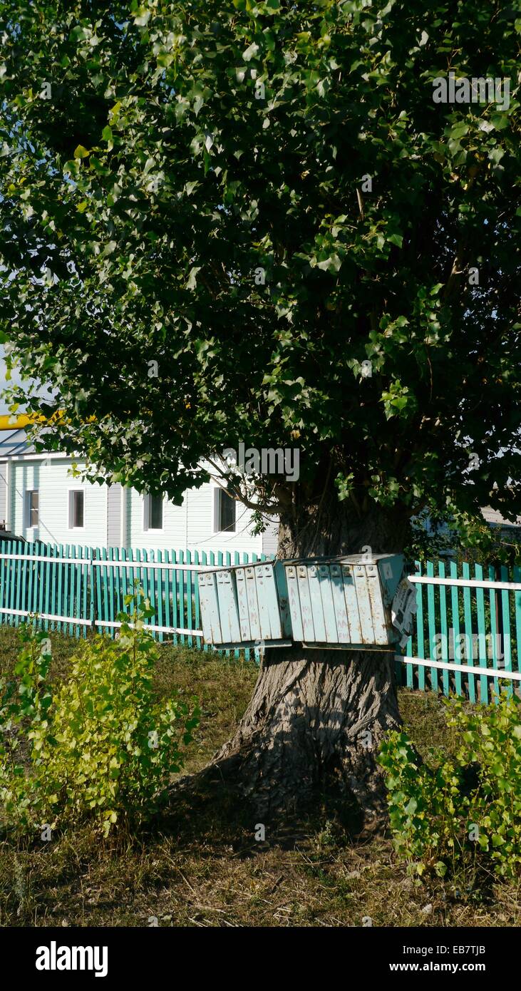 Letterbox in a tree, Russia Stock Photo - Alamy