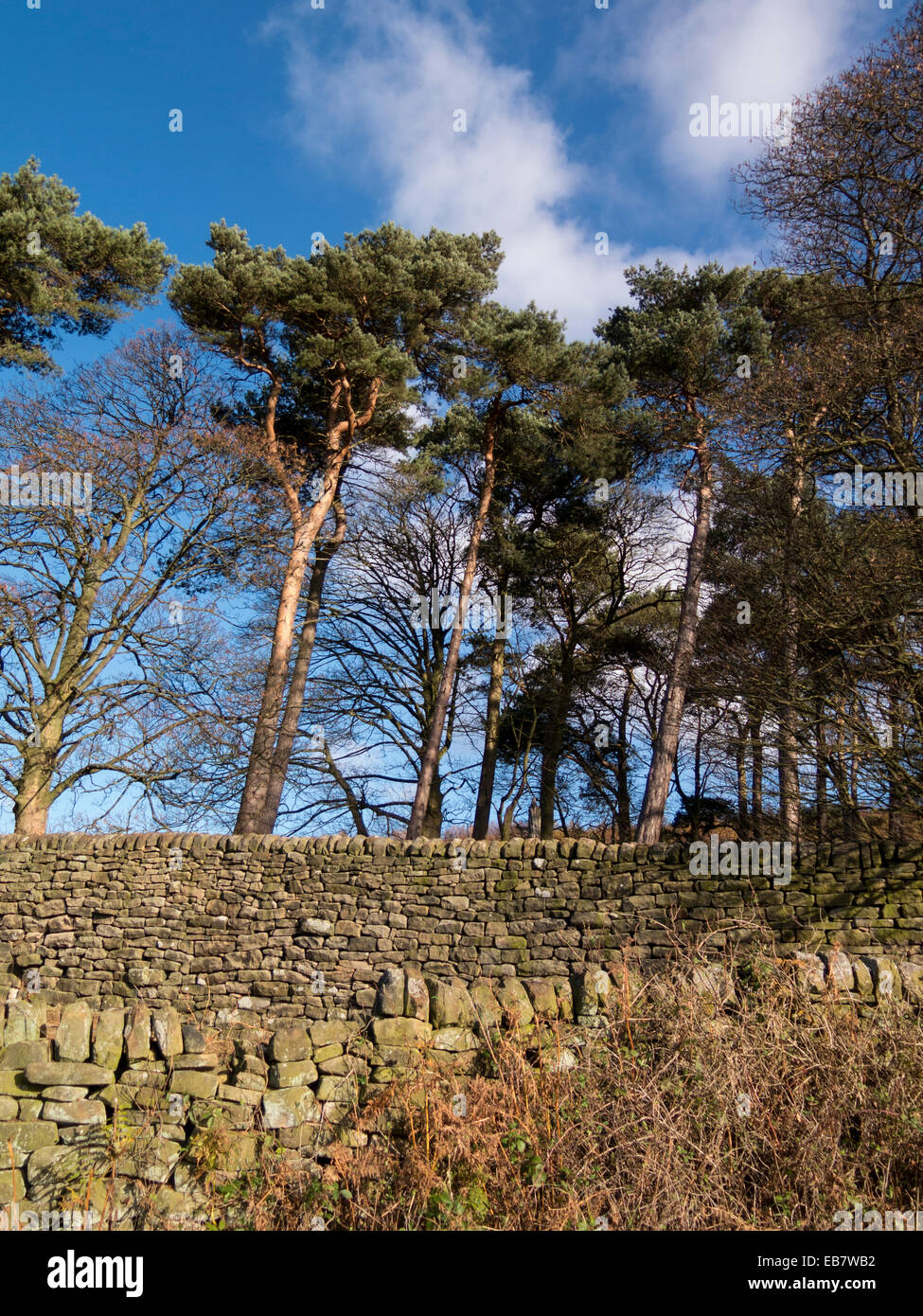 landscape near Matlock, Derbyshire, Britain Stock Photo - Alamy