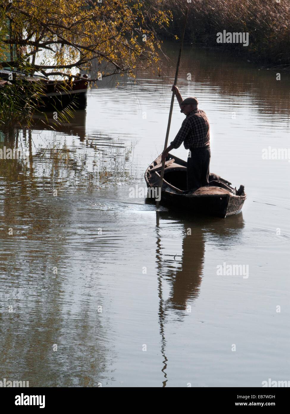 Rice marsh lake park hi-res stock photography and images - Alamy
