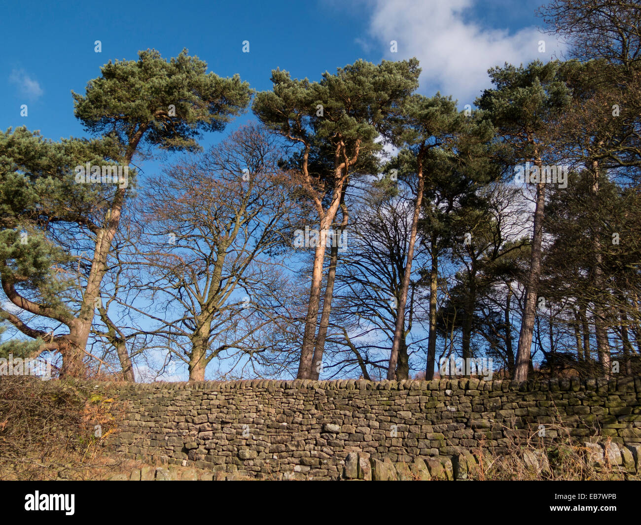 landscape near Matlock, Derbyshire, Britain Stock Photo - Alamy