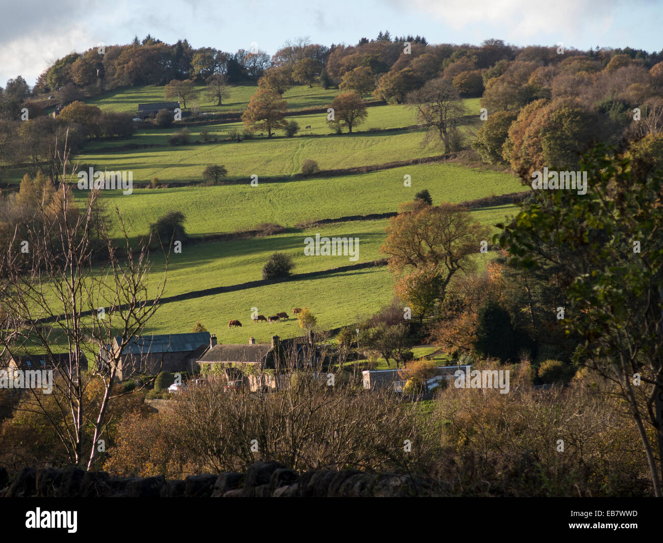 landscape near Matlock, Derbyshire, Britain Stock Photo - Alamy