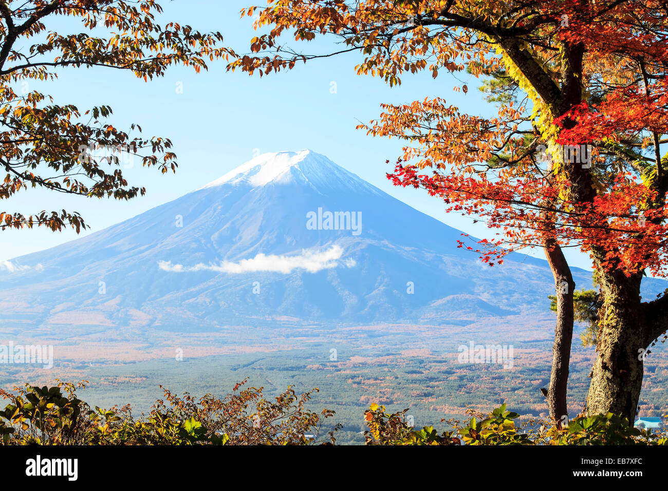 Mt. Fuji with fall colors in Japan for adv or others purpose use Stock ...