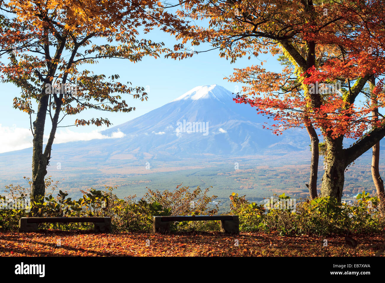 Mt. Fuji with fall colors in Japan for adv or others purpose use Stock ...