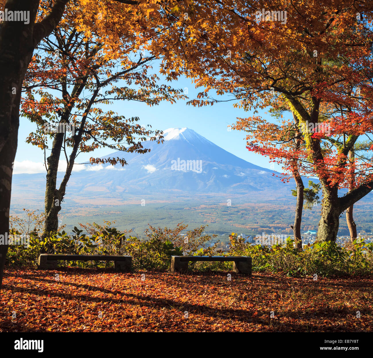 Mt. Fuji with fall colors in Japan for adv or others purpose use Stock ...