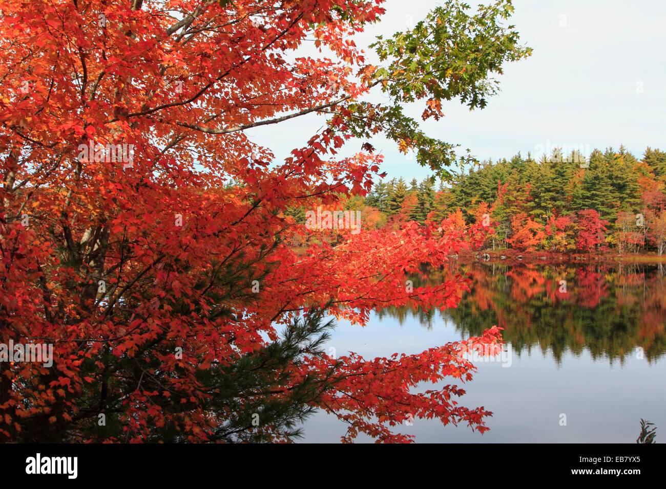 an autumn lake scene in the Adirondack Mountains in the USA Stock Photo ...