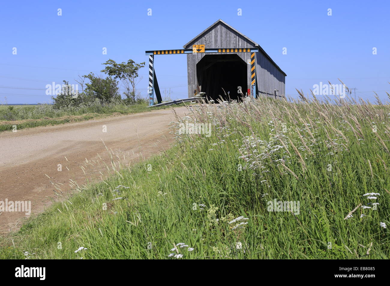 Tantramar marsh hi-res stock photography and images - Alamy
