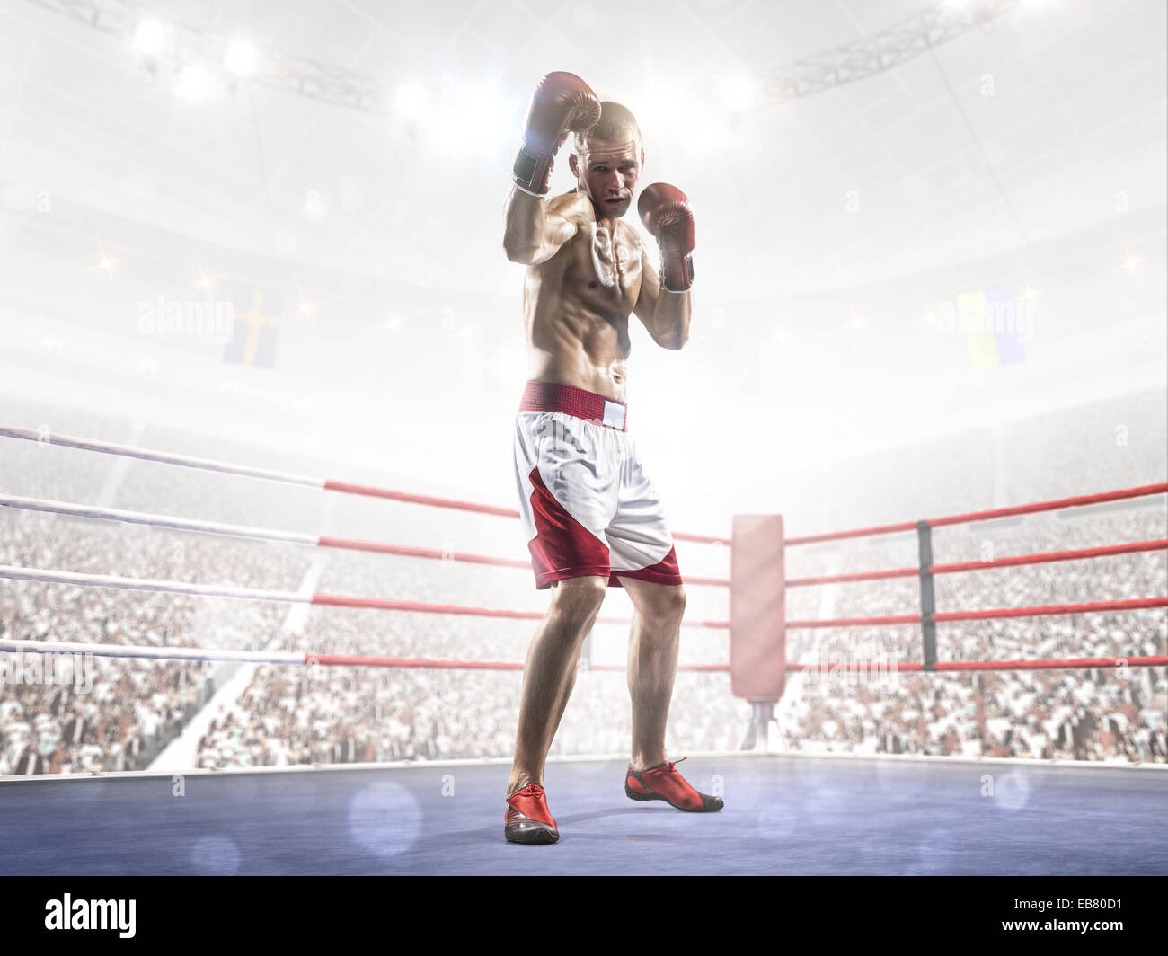 Professional boxer is training on the grand arena Stock Photo - Alamy