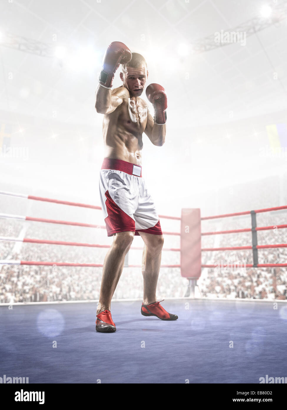 Professional boxer is training on the grand arena Stock Photo - Alamy
