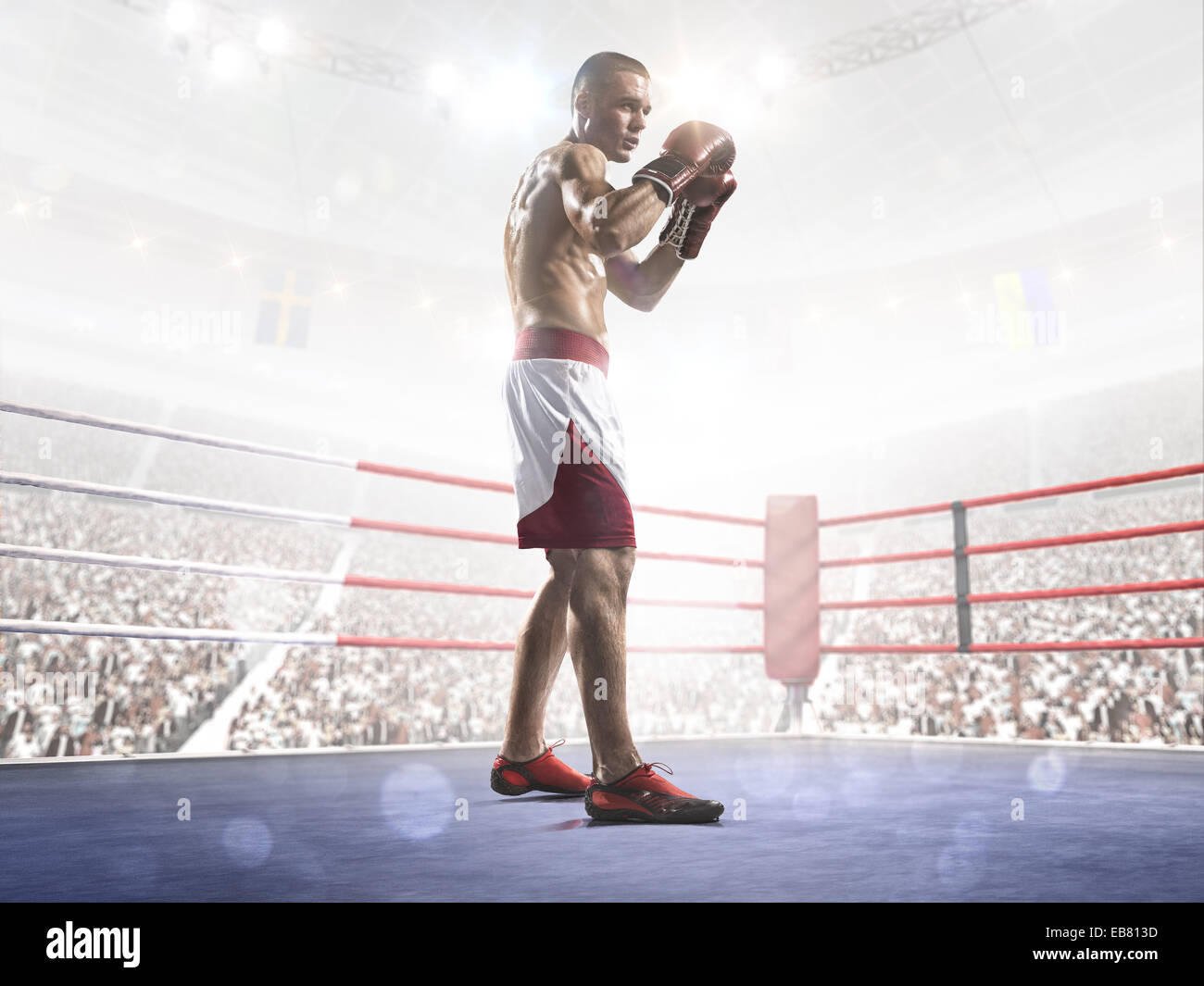 Professional boxer is training on the grand arena Stock Photo - Alamy