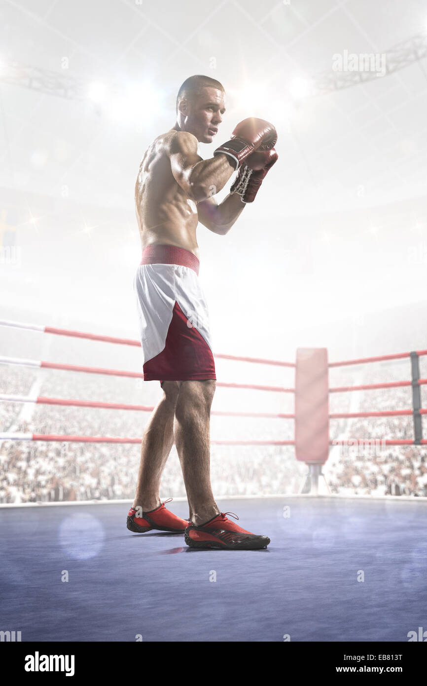 Professional boxer is training on the grand arena Stock Photo - Alamy