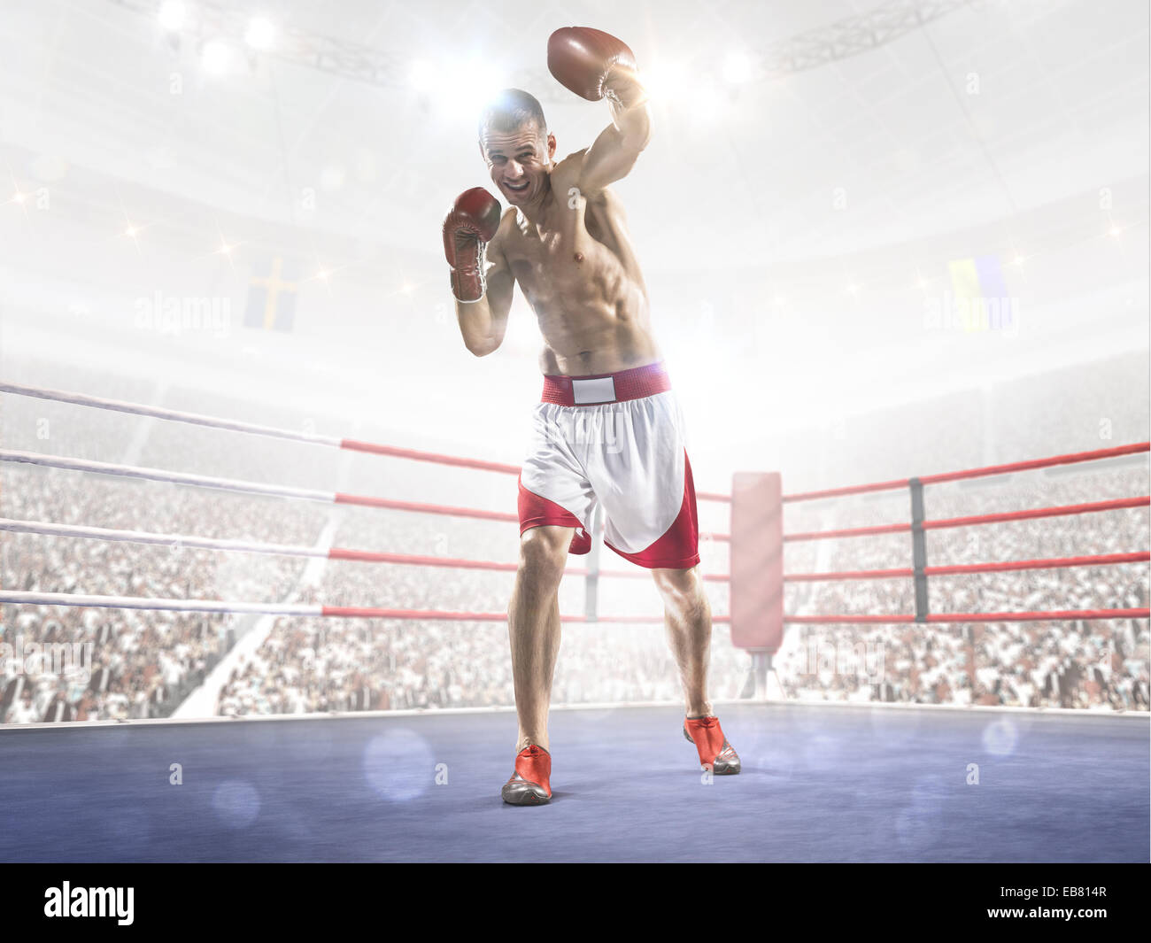 Professional boxer is training on the grand arena Stock Photo - Alamy