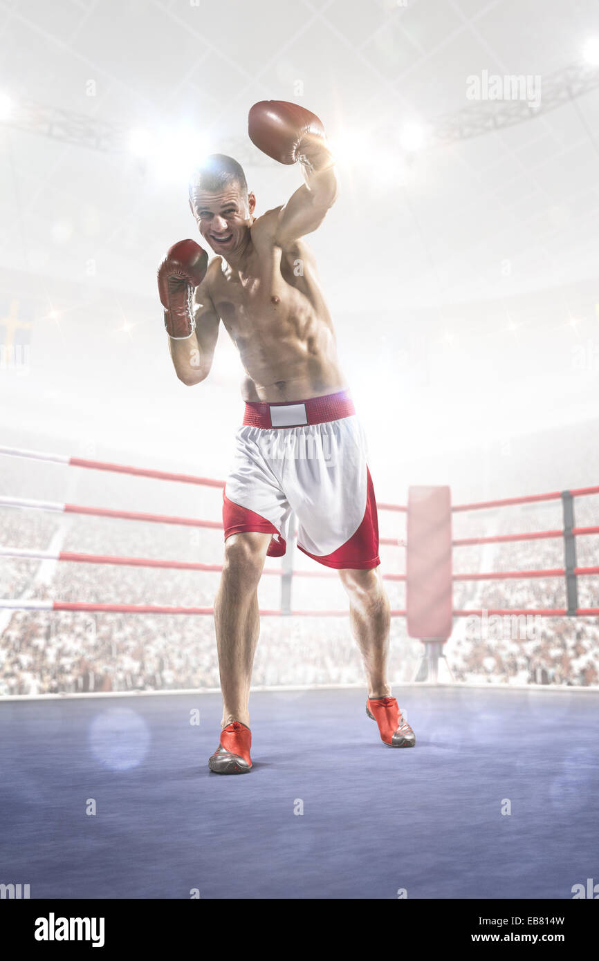 Professional boxer is training on the grand arena Stock Photo - Alamy