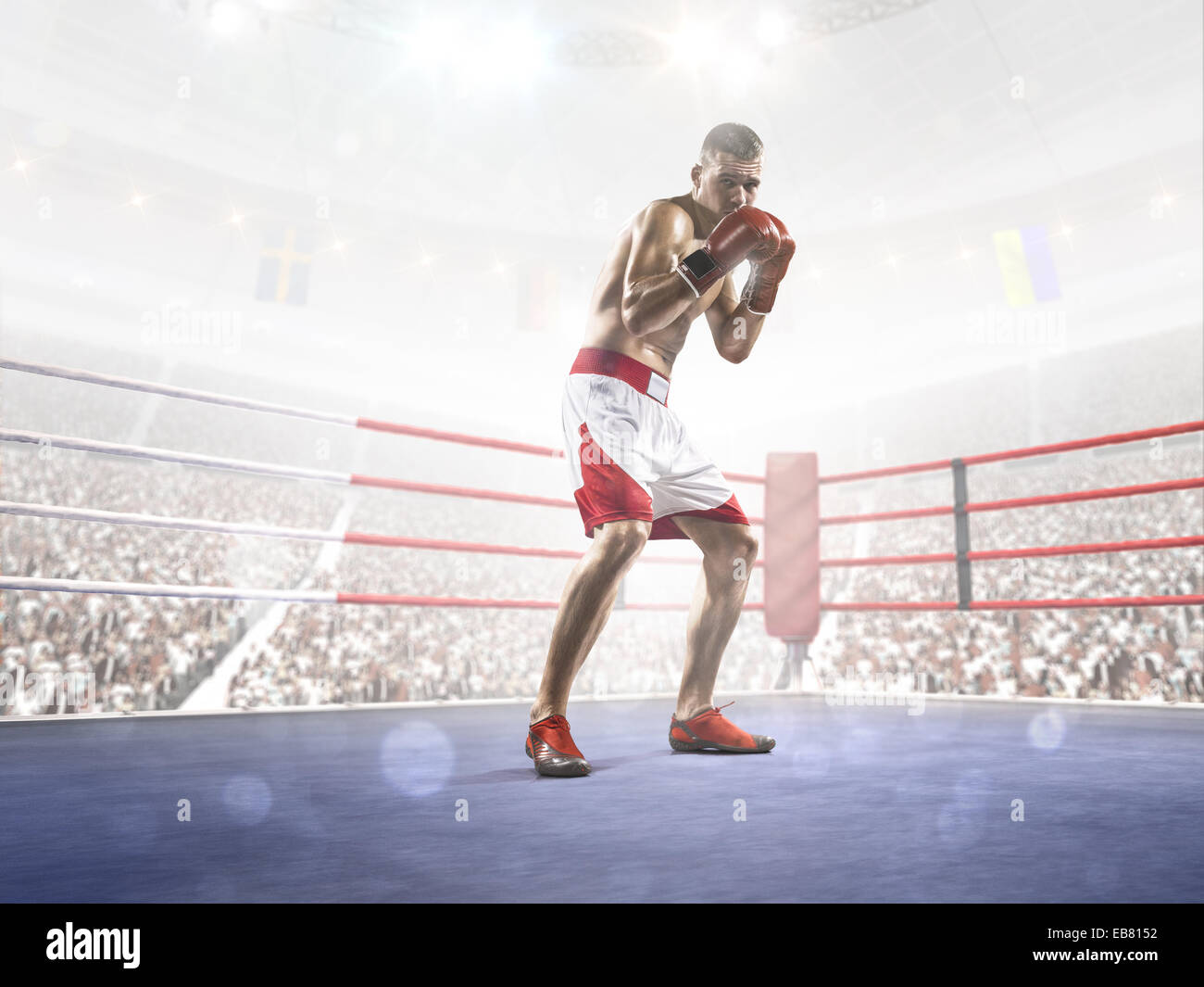 Professional boxer is training on the grand arena Stock Photo - Alamy