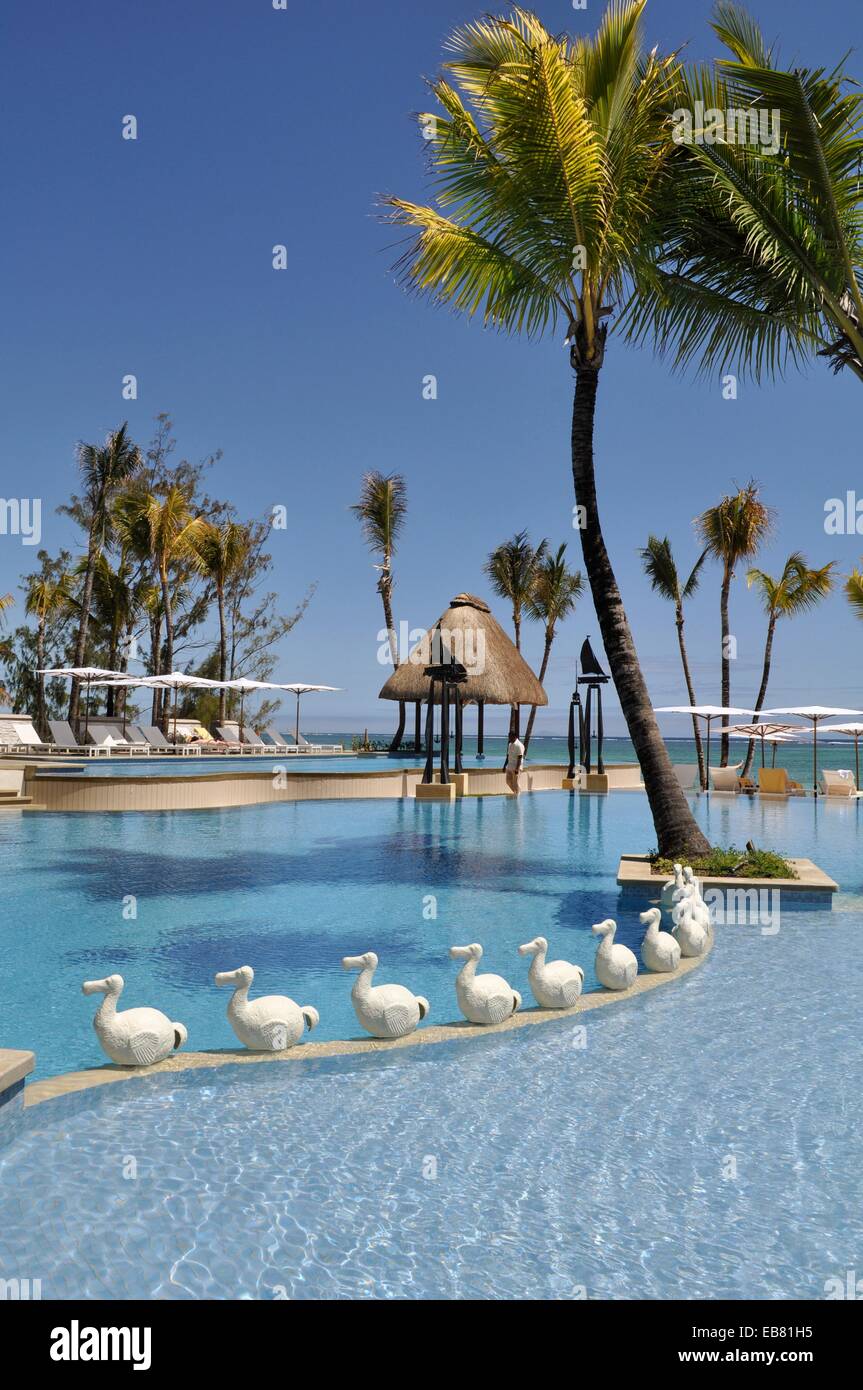 Dodo mauritius hi-res stock photography and images - Alamy