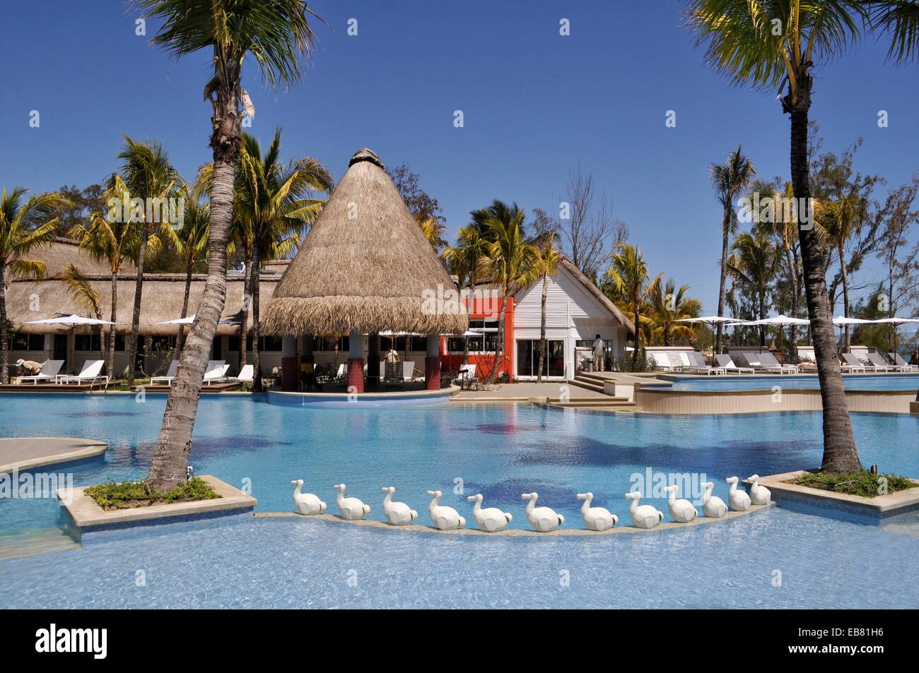 Dodo Mauritius High Resolution Stock Photography and Images - Alamy