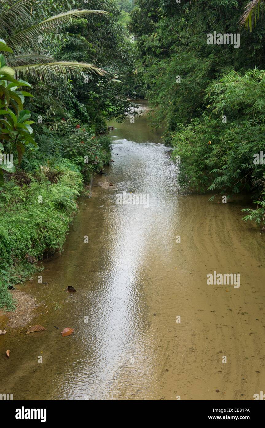 Annah rais hot spring sarawak hi-res stock photography and images - Alamy