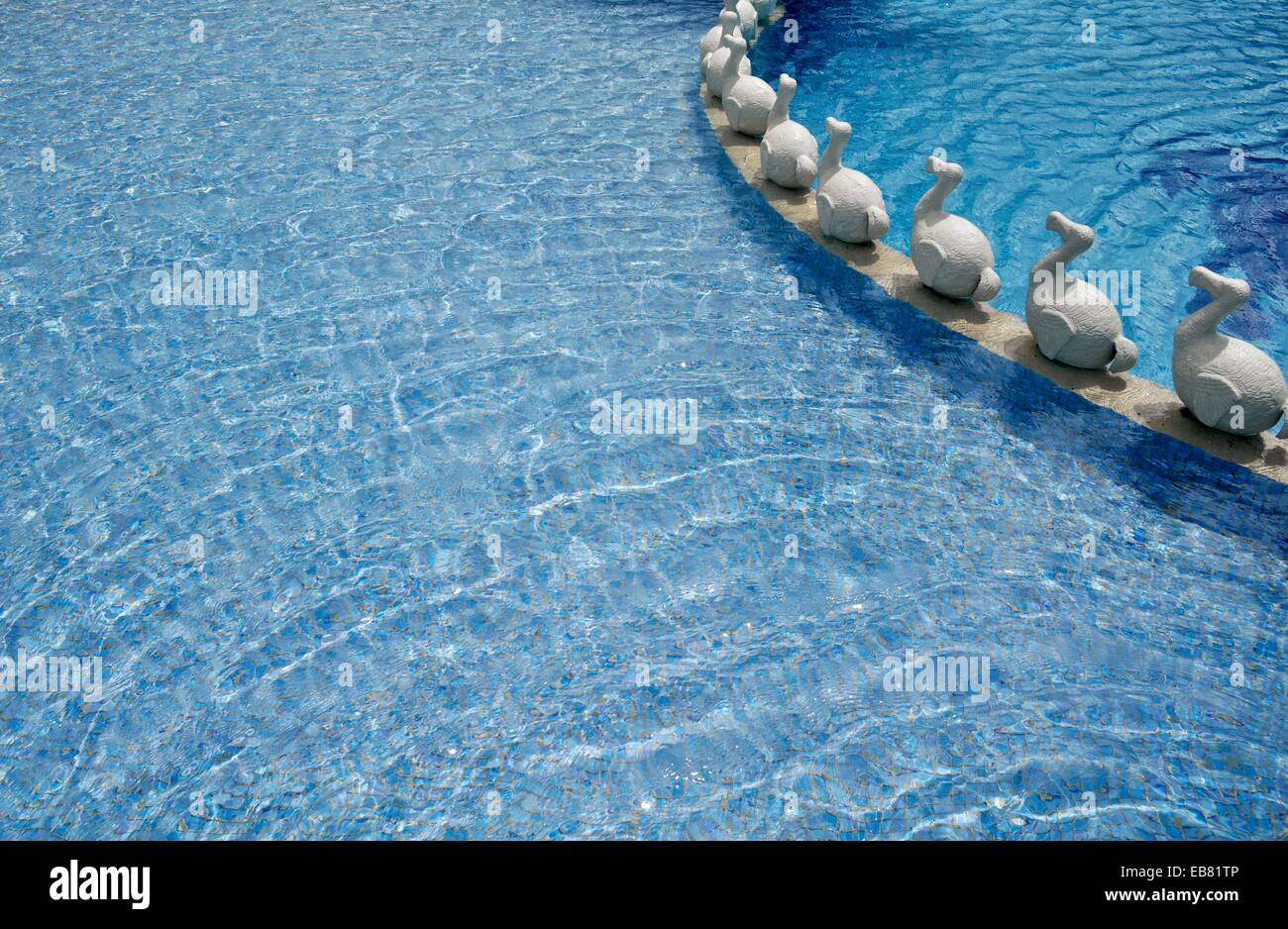 Dodo Mauritius High Resolution Stock Photography and Images - Alamy