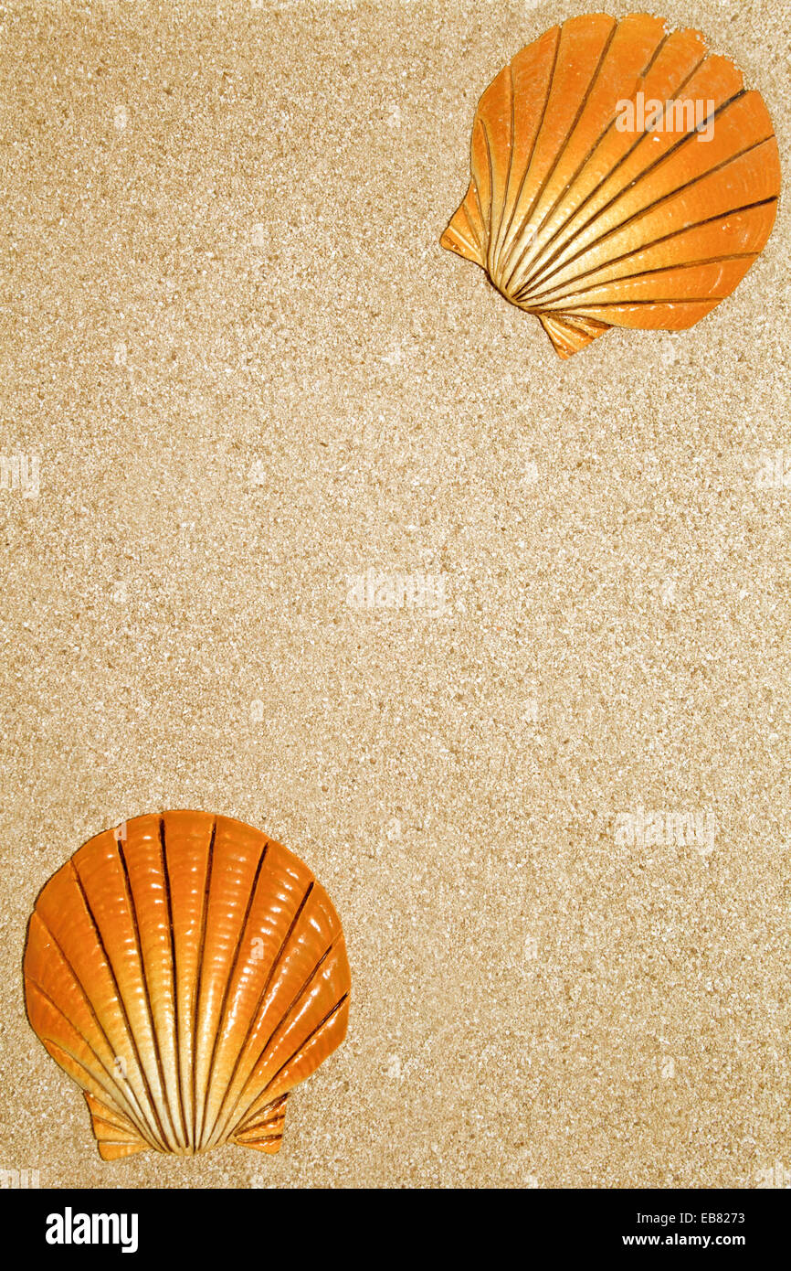 Sand in shells hi-res stock photography and images - Alamy