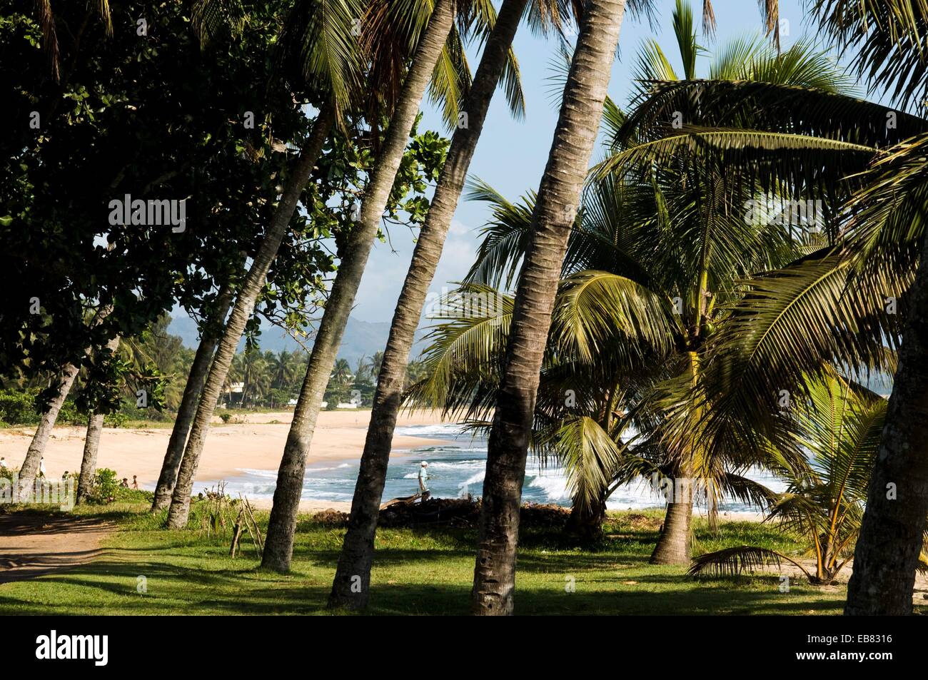 Sambava Madagascar High Resolution Stock Photography and Images - Alamy