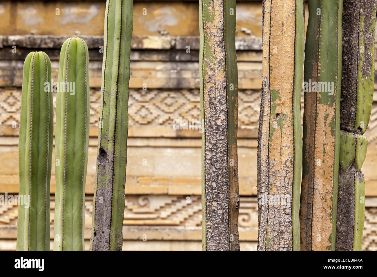 Grecas High Resolution Stock Photography and Images - Alamy