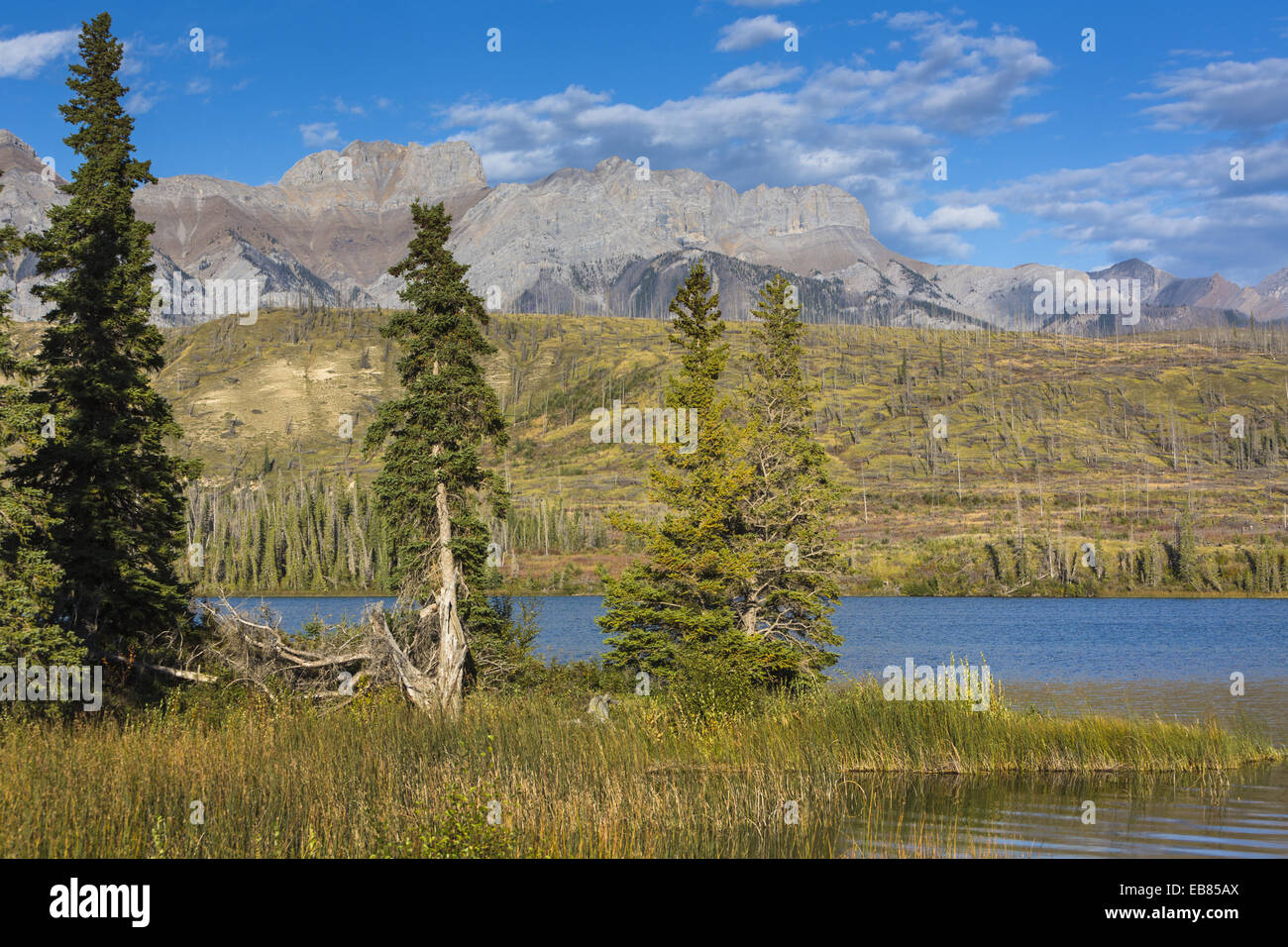 Talbot lake in jasper national park hi-res stock photography and images ...