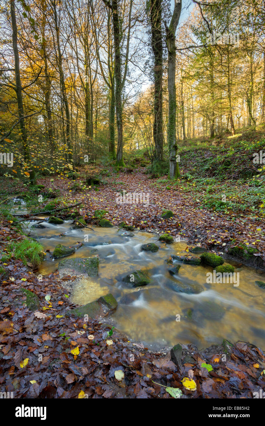 Meandering stream gravel hi-res stock photography and images - Alamy