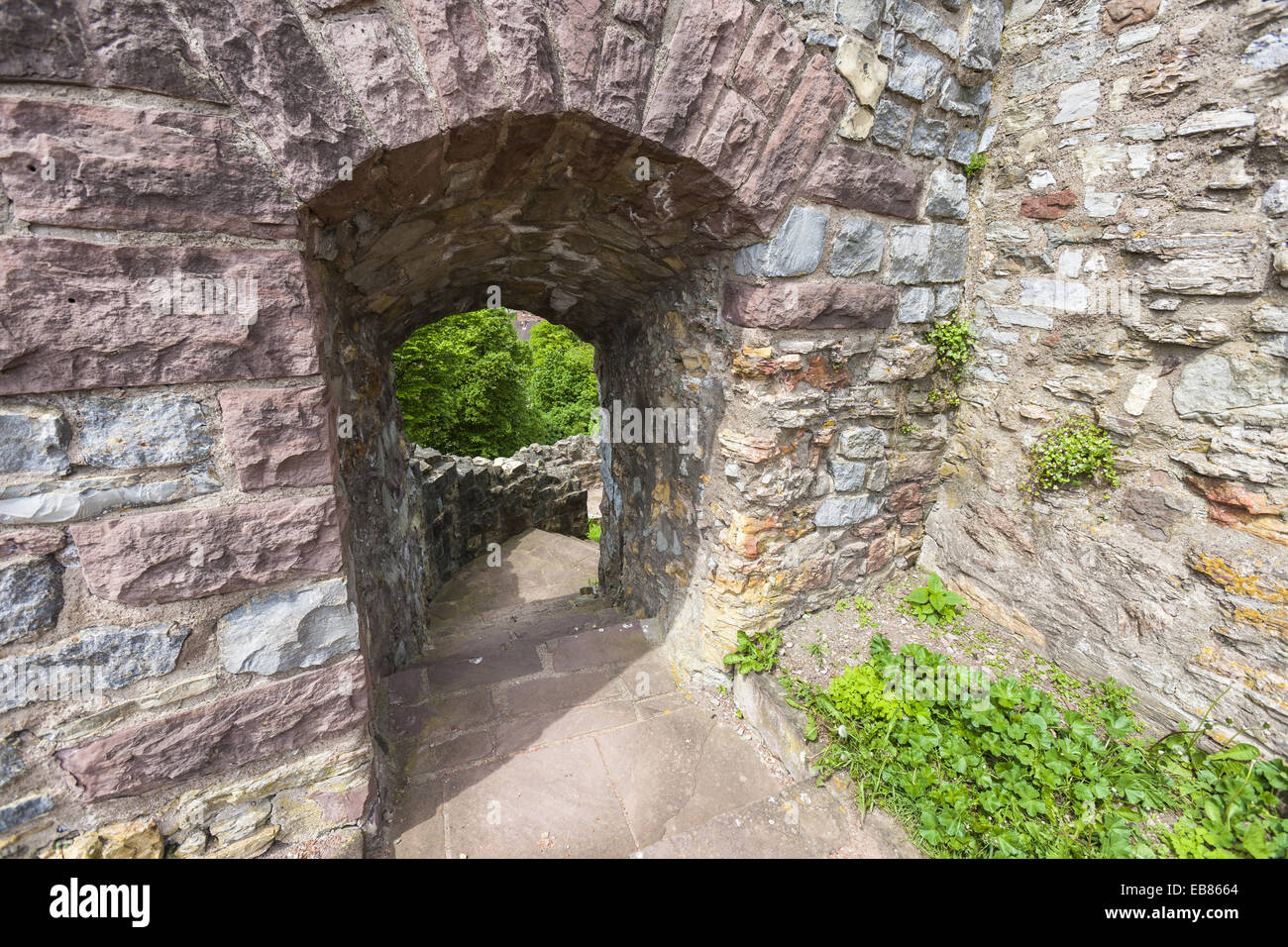 Detail the 13th century castle Polle (Cinderella´s castle) in Polle on ...