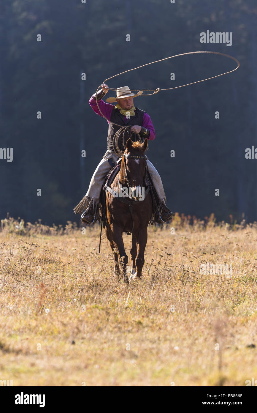 A Quick Ride Through The History Of Horseback Riding
