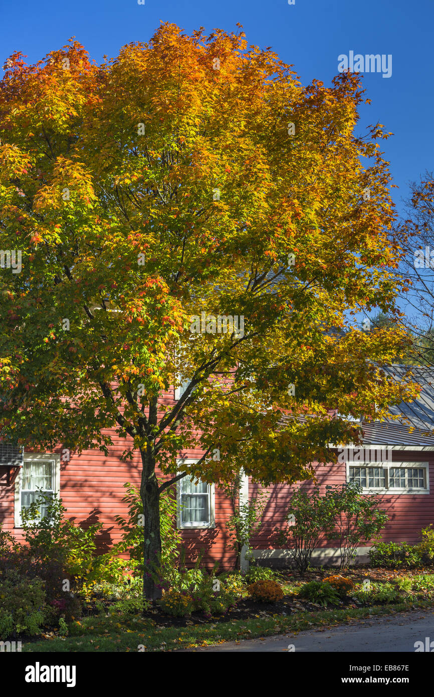 The Vermont Country Store, founded 1946, Weston, Vermont, USA Stock ...