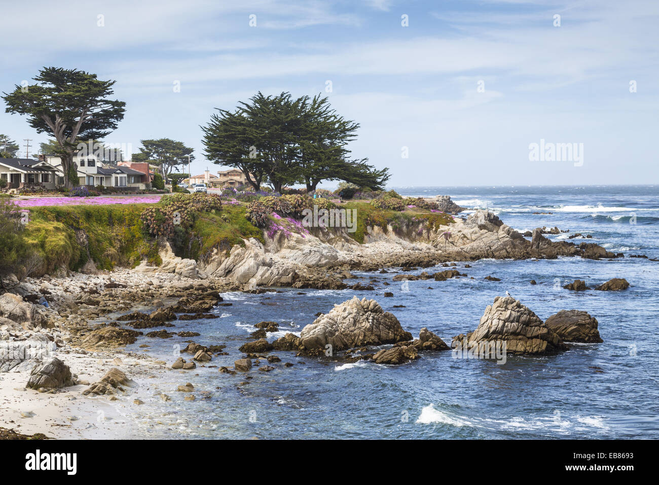 Coastal landscape on Pacific Grove, Monterey, California, USA Stock ...