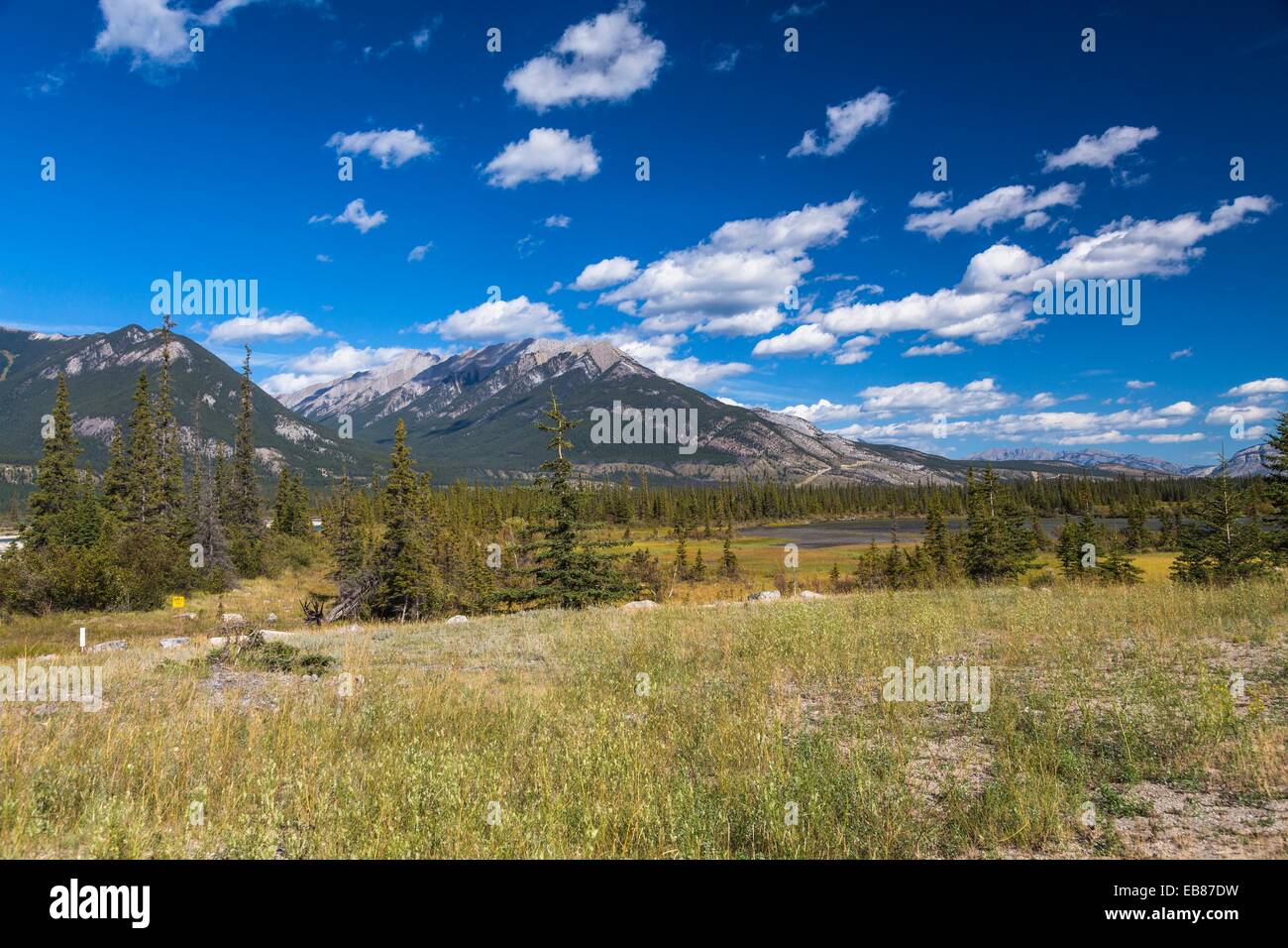 Vast meadows and Canadian Rocky Mountains in the Jasper National Park ...
