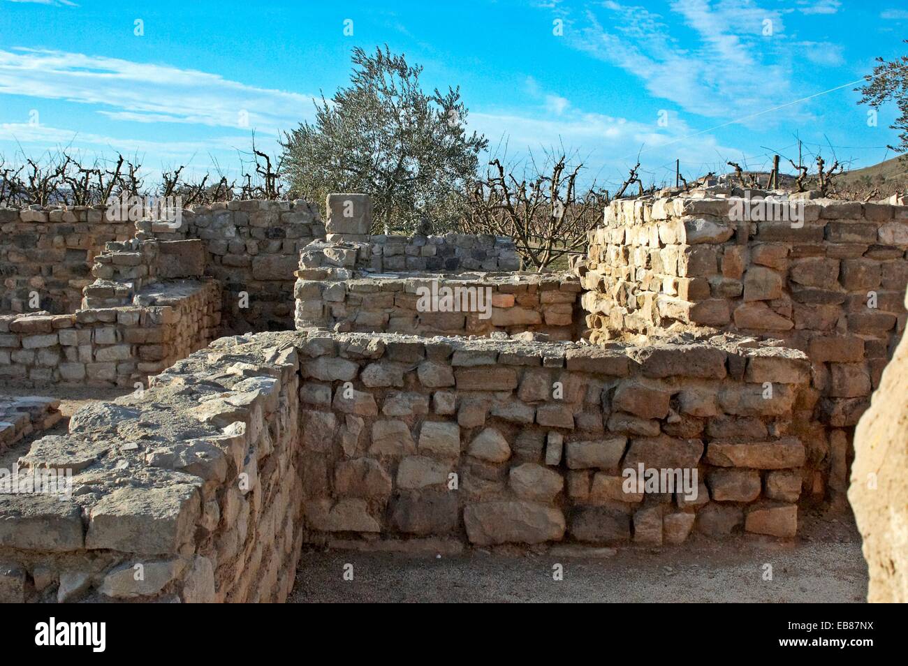 Fortunatus High Resolution Stock Photography and Images - Alamy