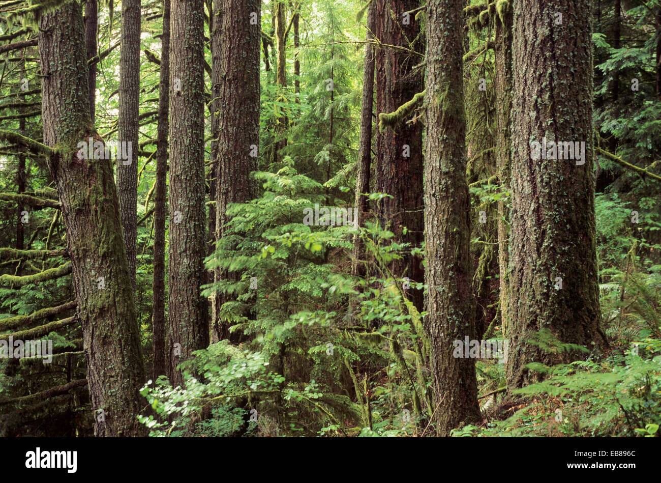 Old ridge hi-res stock photography and images - Alamy