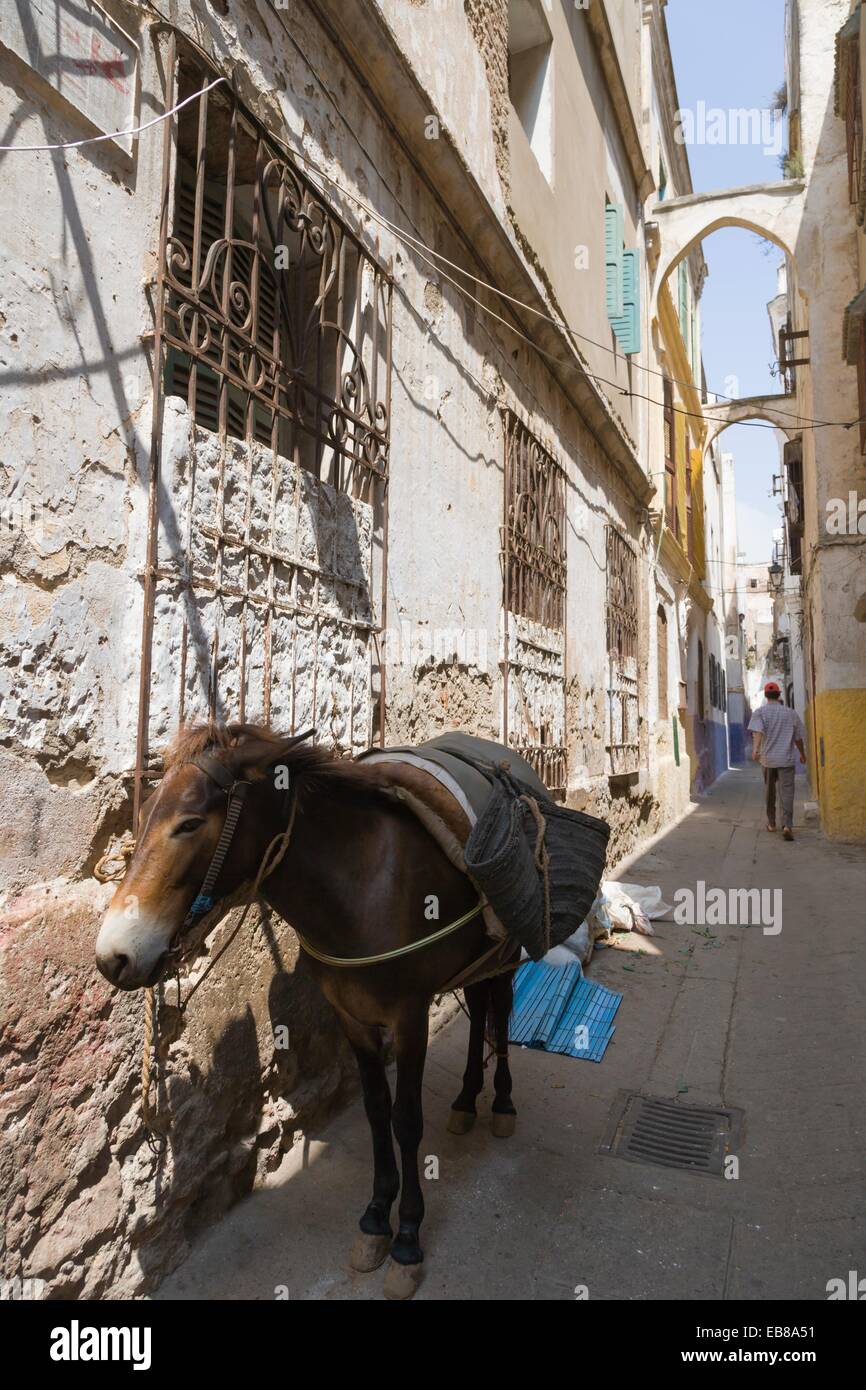 Tetouan medina old town tetuan hi-res stock photography and images - Alamy