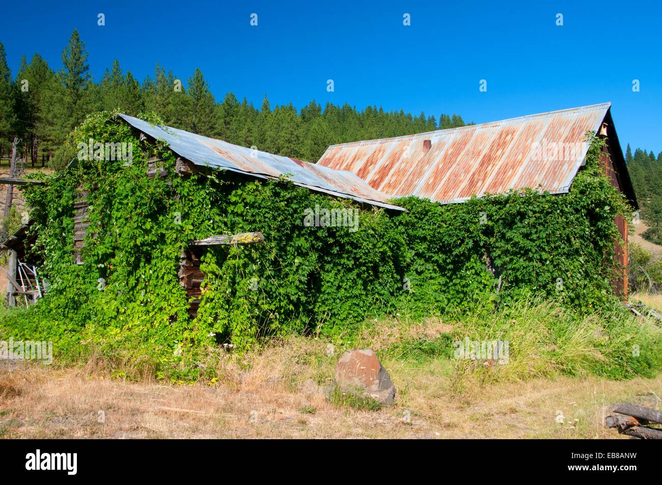 Barn, Dunstan Homestead Preserve, Oregon Stock Photo - Alamy
