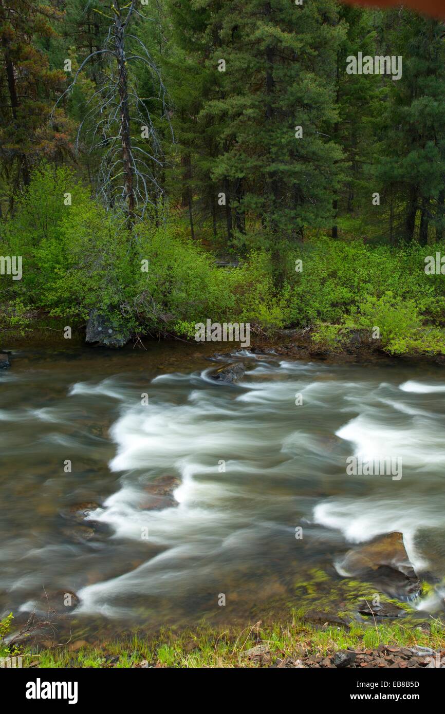 Malheur national forest hi-res stock photography and images - Alamy