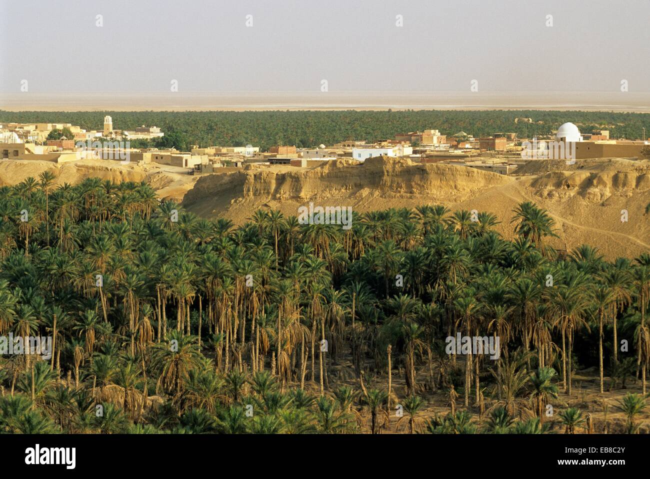 Nefta oasis, tunisia hi-res stock photography and images - Alamy