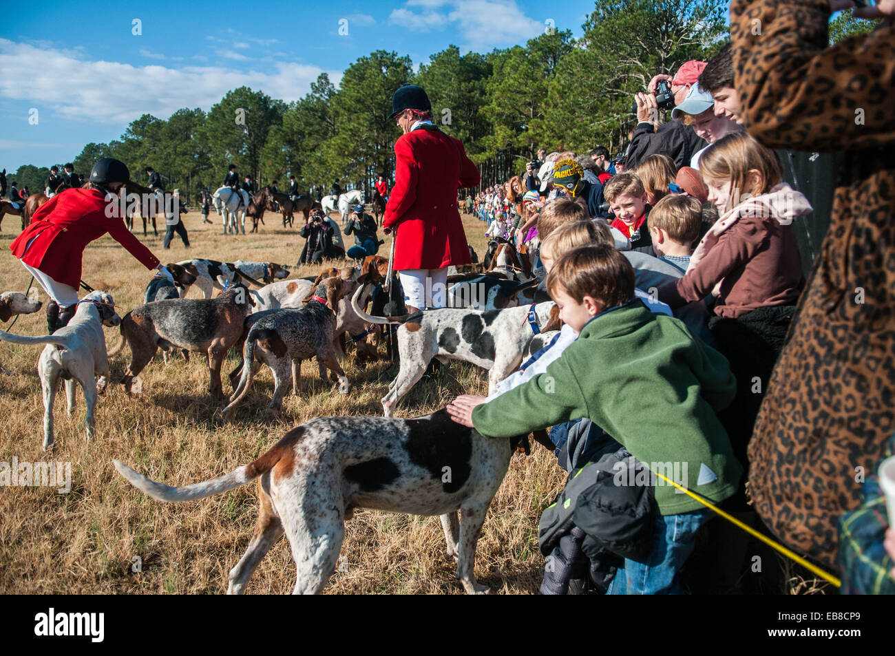 Southern Pines, North Carolina, US. 27th Nov, 2014. The hounds greet ...