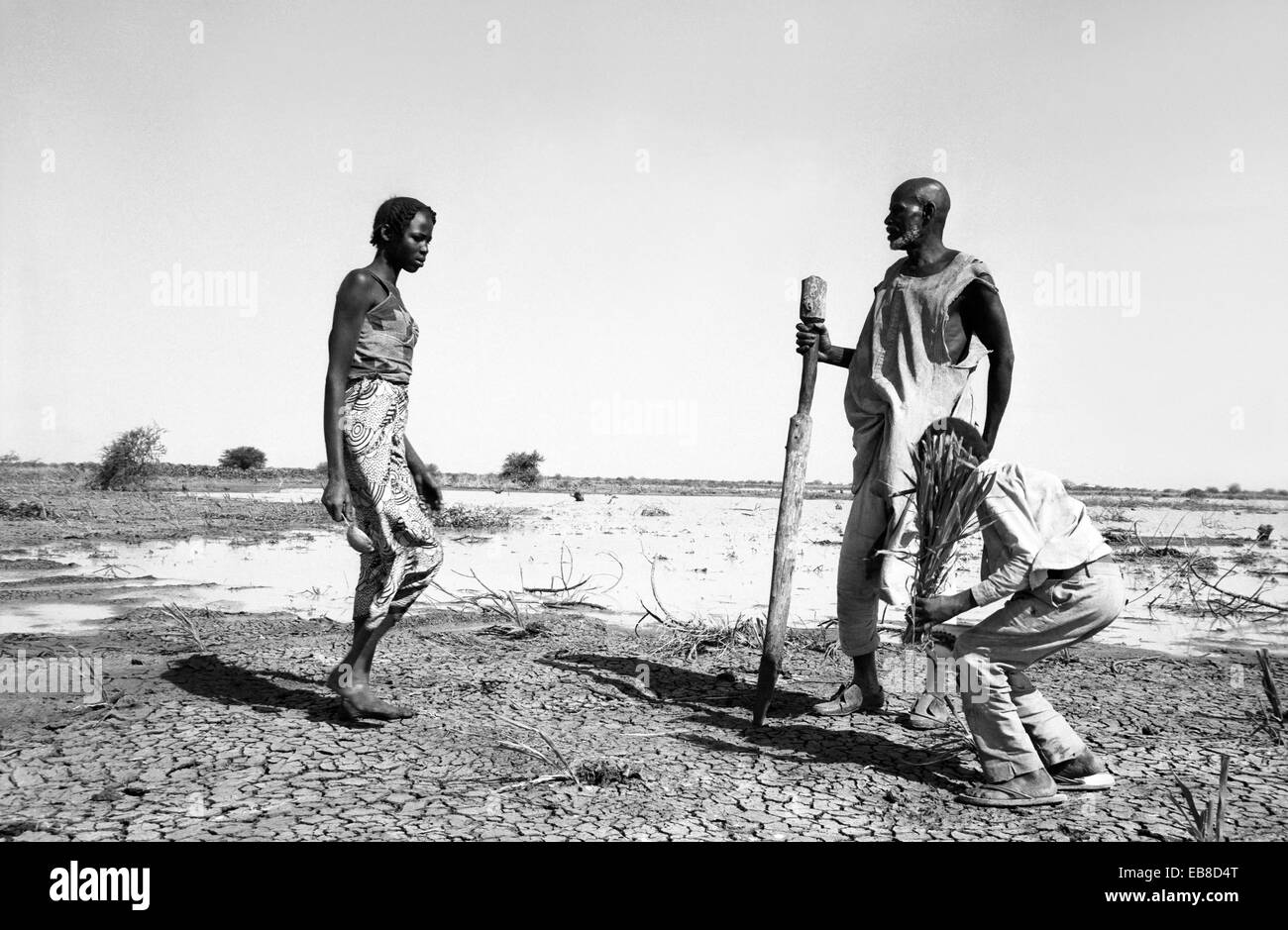 Chad farm Black and White Stock Photos & Images - Alamy