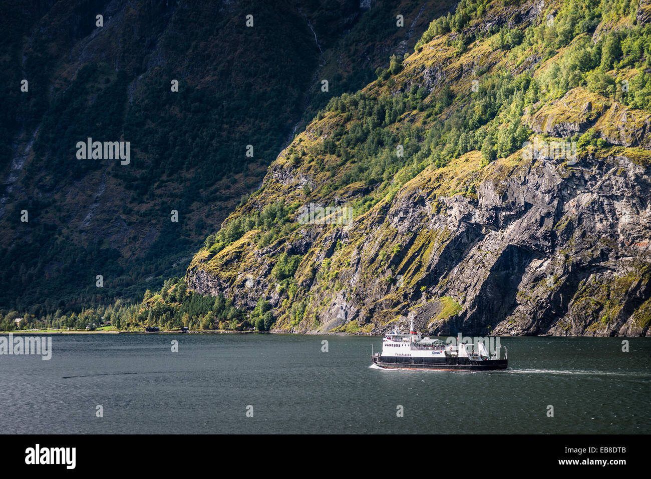 The ferry 'Fanaraaken' on the Aurlandsfjord, approaching Flåm on the ...
